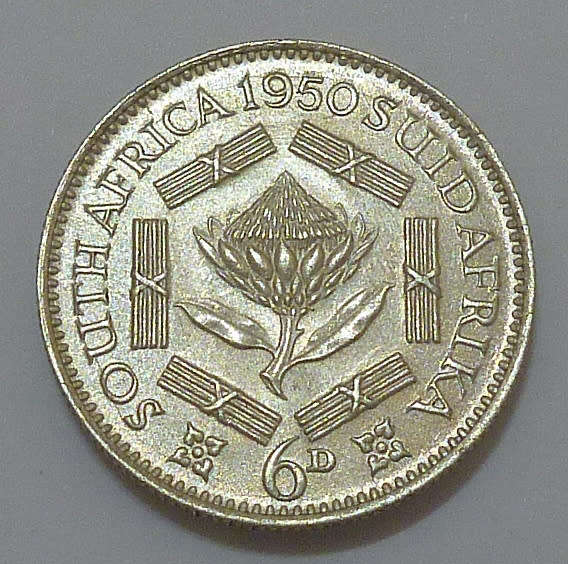Sixpence - Union of South Africa: Silver Sixpence {6d} 1950 (High-Grade) for sale in Margate ...